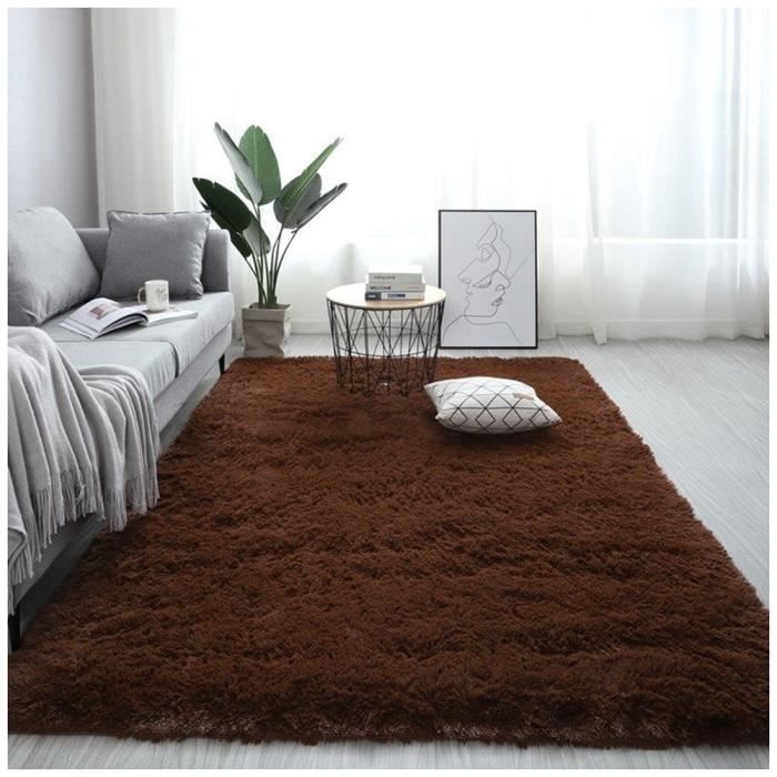 100 x 200cm Tapis Salon Shaggy Antidérapant Chambre Soft Tapis à Poils Longs Moelleux Tapis ...