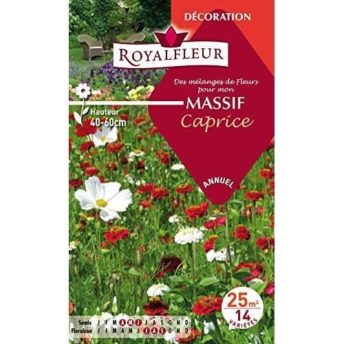 Royalfleur PFRF08697 Graines de Mélange de Fleurs mon Massif Caprice 25 ...