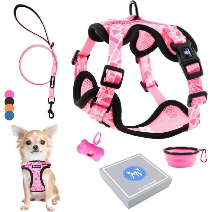 Harnais Et Laisse Pour Chien Chiot Chat Harnai Réglable Original Arnet Anti Traction Coffret ...