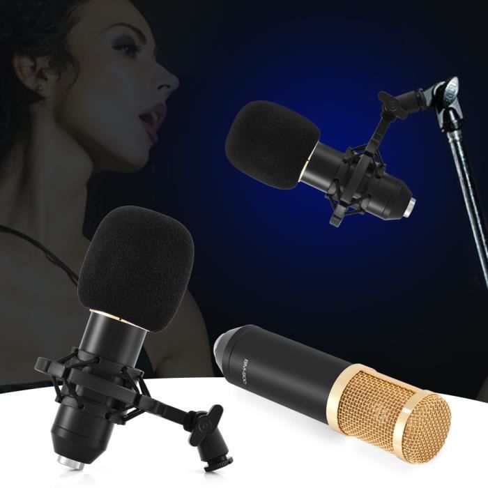 HURRISE micro de studio Microphone d'enregistrement de studio de ...