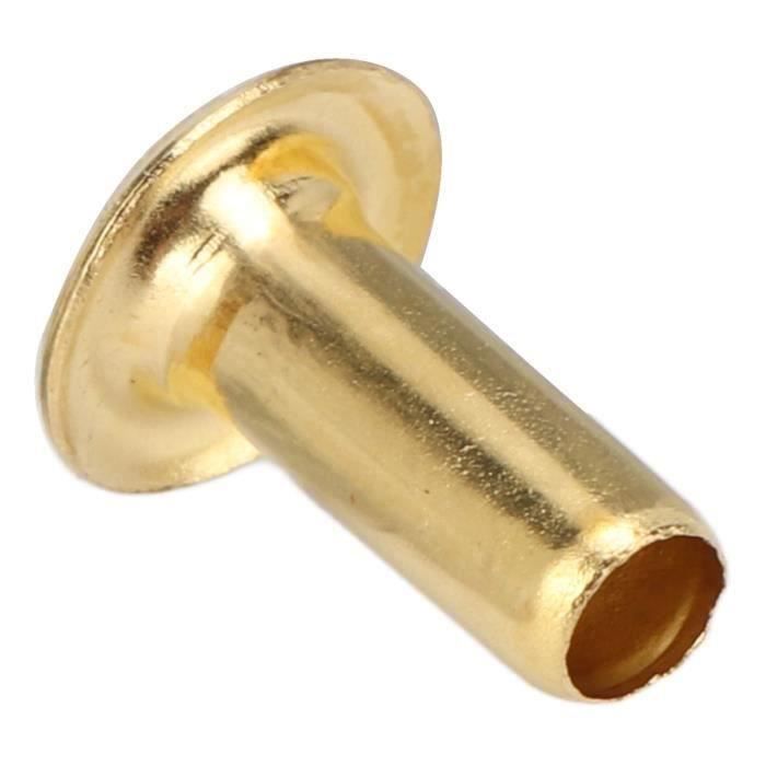 Progrès-Tbest Rivets à coudre 500 pcs rivets creux bords arrondis ...