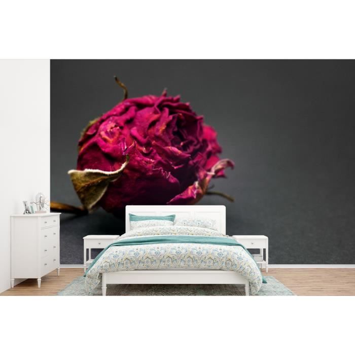 MuchoWow - Papier peint Roses - Teinte - Rouge Papier peint photo ...