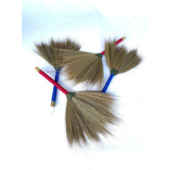 Balai En Véritables Fibres De Palmier 50 X 30 Cm Avec Manche - Balai ...