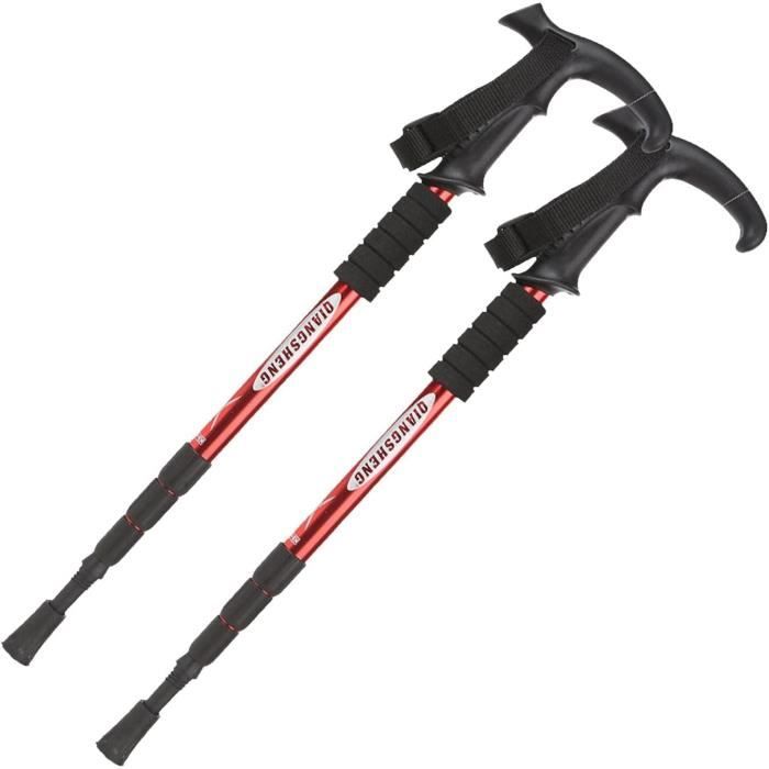 Lot De 2 Bâtons De Randonnée, Bâtons De Trekking, Bâtons De Marche ...