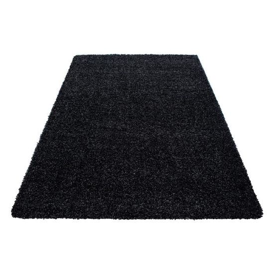 Teppium Tapis shaggy à poils longs unicolore Tapis unicolores pour le salon [Anthrazite, 200 x ...