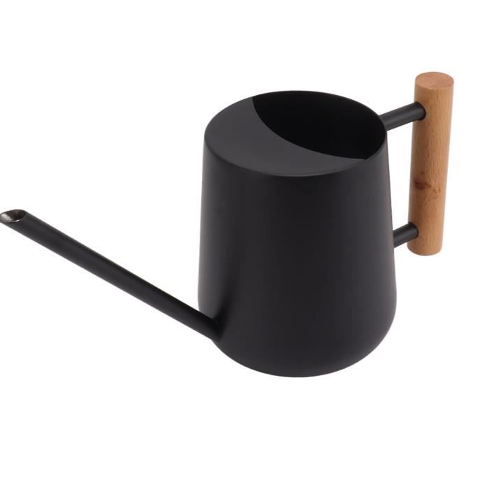 Arrosoir - DRFEIFY - 900ml - Acier inoxydable - Design à long bec ...