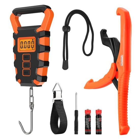 Pèse Bagage Électronique/Peson Numérique Portatif/Balance Valise avec ...