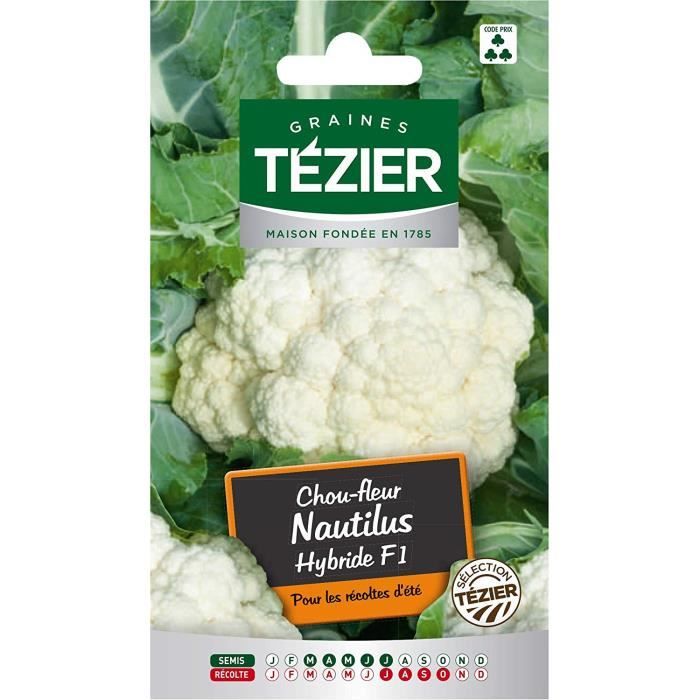 Sachet Graines - Tezier - Chou-fleur Nautilus HF1 sélection Tézier ...