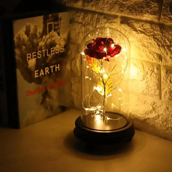 La Rose Eternelle et lumière LED “Belle et la bête ”, meilleur cadeau ... La Rose Eternelle et lumière LED “Belle et la bête ”, meilleur cadeau ...