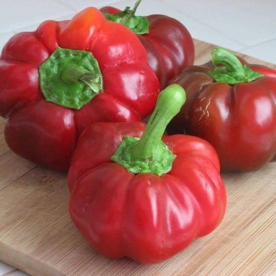 100 Pièces Graine Poivron Rouge Mini Chili Légumes Plantation Cultures ...