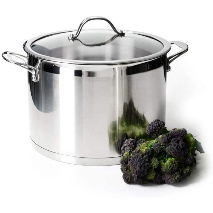 ProCook Professional Steel Grande Marmite cm L INOX Compatible ...