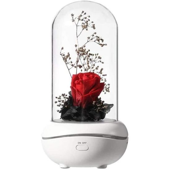 Fleur Eternelle Boite Rose Eternelle Naturelle Préservée pour Mariage d ...