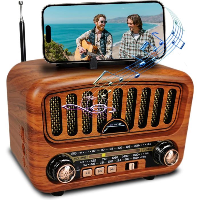 Poste Radio Portable avec Haut-Parleur Bluetooth, AM/FM/SW avec Haut ...