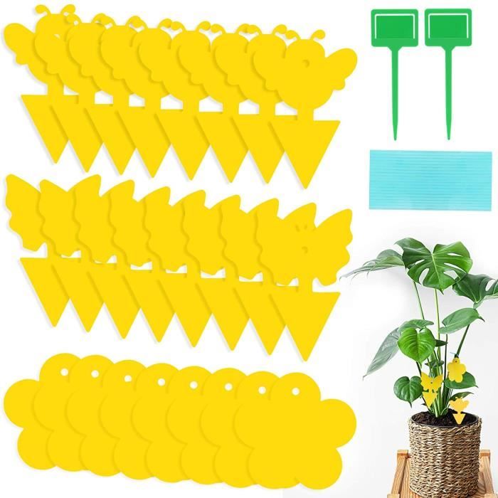 30pcs Pièges à Insectes Pièges Engluées Autocollants Colle Double Face ...