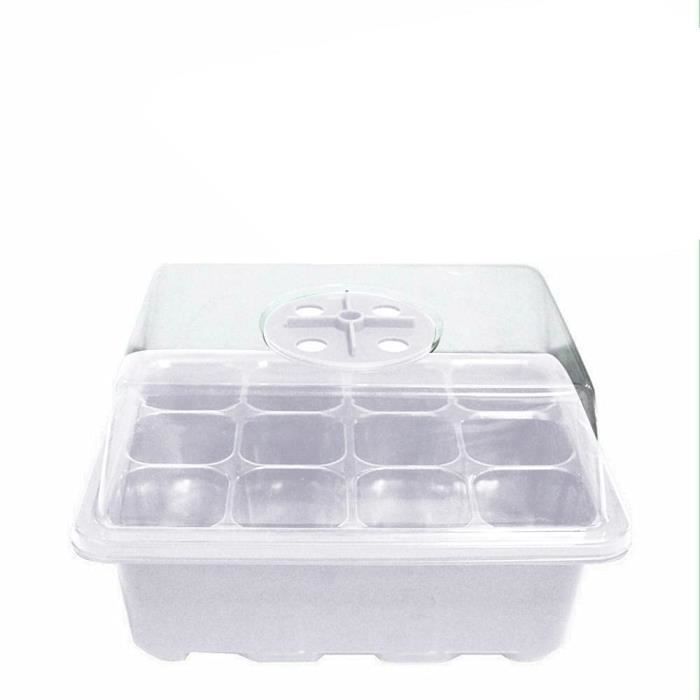 5 pièces de jardin plateau de graines florales semis de pépinière ...