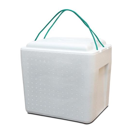 Glacière,réfrigérateur,refroidisseur en polystyrène, capacité 17 L ...