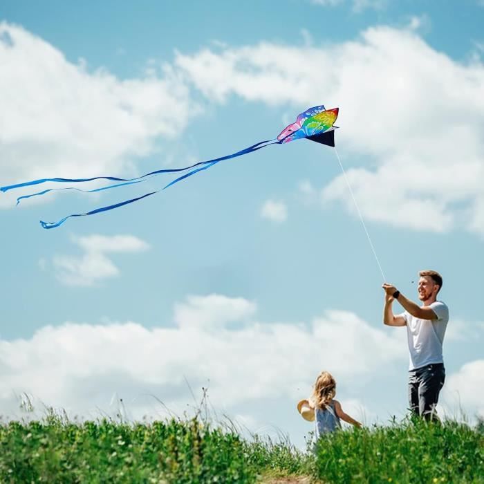 Cerf-Volant Papillon Pour Enfants Et Adultes, Facile À Faire Voler ...
