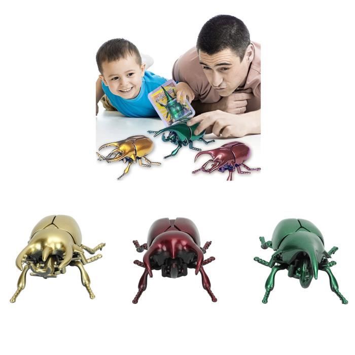Faux Insectes Animaux 3 Pcs Faux Insectes En Plastique Wind Up Bugs ...