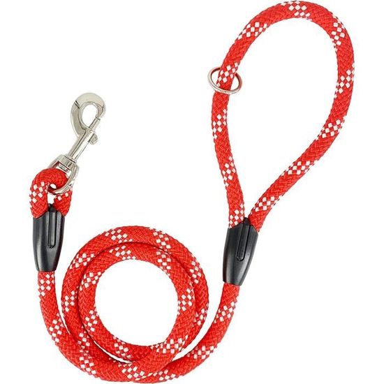 Laisse Pour Chien, Corde En Nylon, Laisse De Dressage, Pour Petits, Moyens Et Grands Chiens ...