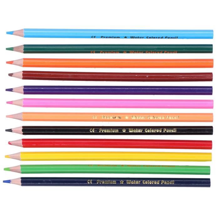 YOSOO crayons hydrosolubles 12 pièces crayons de couleur 12 couleurs ...