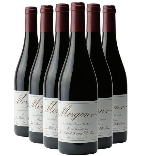 Morgon Rouge 2020 - Lot de 6x75cl - Domaine Jean Foillard - Vin AOC ...