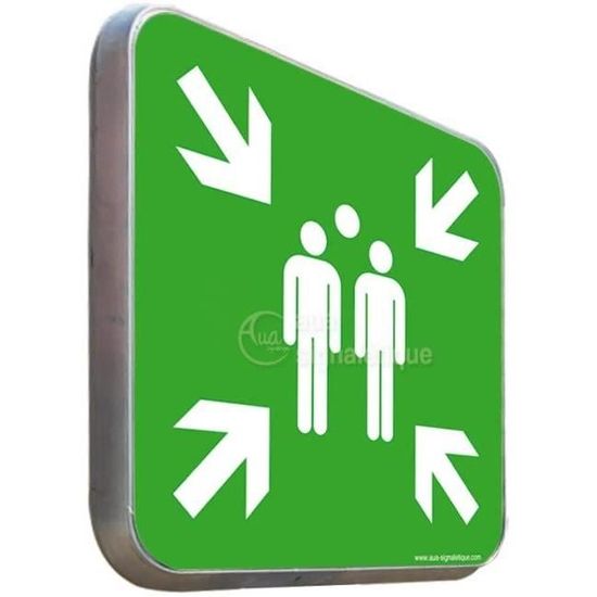 AUA SIGNALETIQUE Panneau Point de rassemblement ISO 7010 E007 Panneau ...