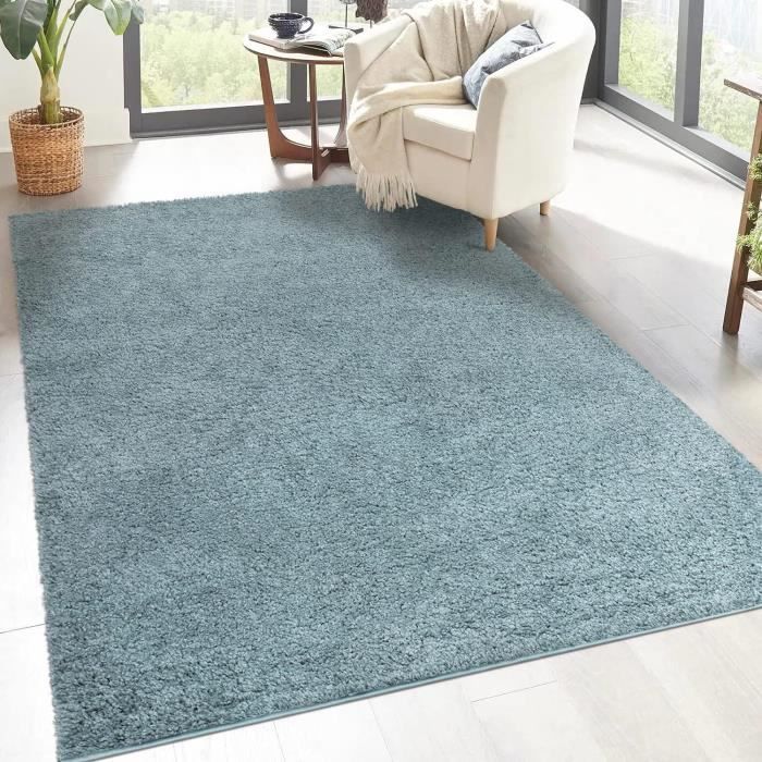 Shaggy Tapis De Salon, À Poils Longs, Motif Uni, Turquoise, 200 X 200 Cm, Carré, Doux Et ...