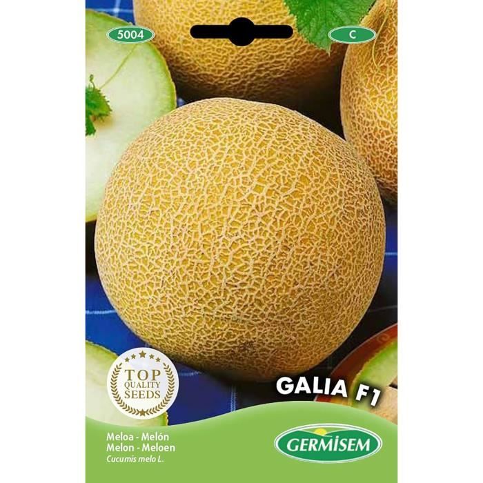 Germisem Graines Melon Galia F1[z1224] - Cdiscount Jardin