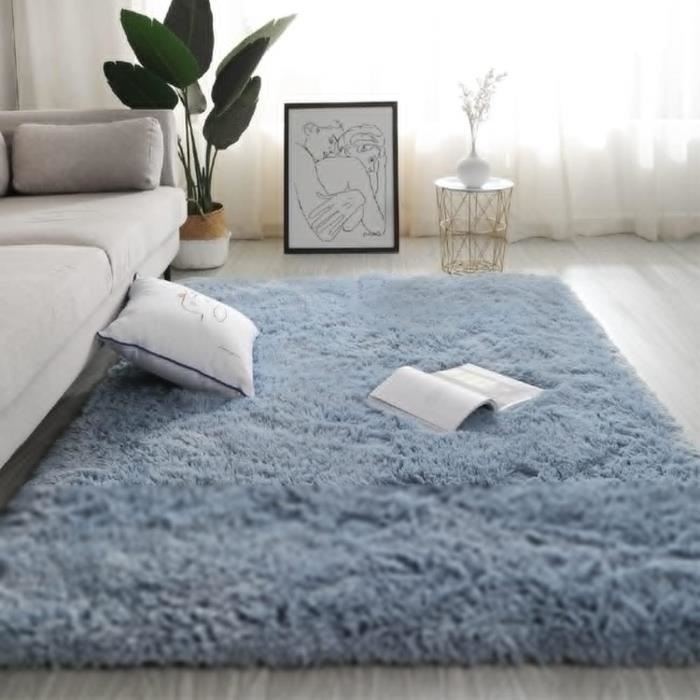 Tapis Salon Shaggy Longs Super Doux - Tapis Shaggy Moelleux Dessous ...