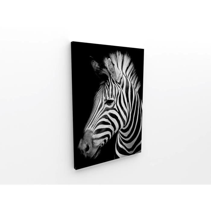 Tableau Panorama Zèbre 21x30 cm - Imprimée sur Toile - Tableau Animaux ...
