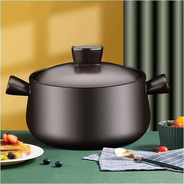 Marmite Pot en terre cuite en céramique ronde avec poignée double ...