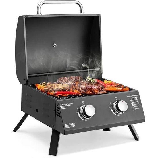 Barbecue À Gaz Portable, Barbecue De Table De 20 000 Btu Avec 2 ...