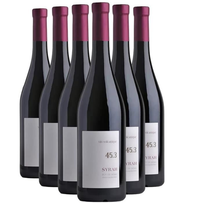 Syrah Rouge 2020 - Lot de 6x75cl - Maison Desprat-Saint Verny - Vin ...