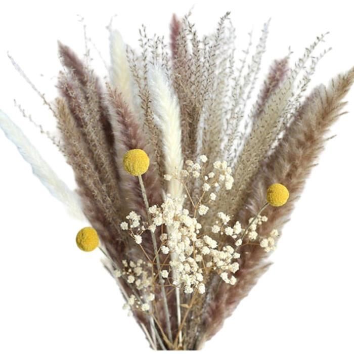 Ferme Rustique Séché Phragmites Roseau Fleur Bouquet Pour Vase Maison ...