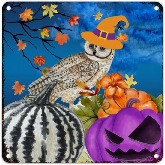 Plaque Murale En Aluminium Avec Chapeau De Sorcière - Décoration D ...
