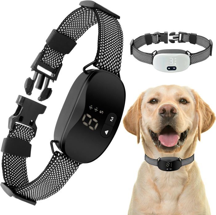 LAISSE - SANGLE - ACCOUPLE - FOURREAU POUR SANGLE-Noir Noir Collier ...