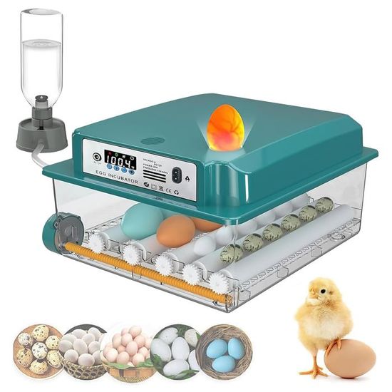 Couveuse Oeuf Automatique 10-16, Incubateur Oeuf Automatique pour Oeufs ...