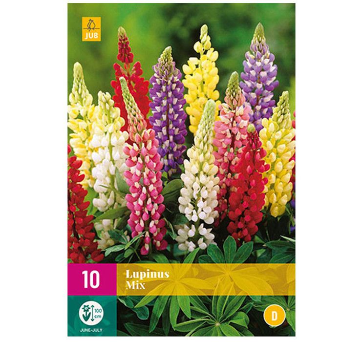 Mélange de 10 bulbes Lupin mix Multicolore - Cdiscount Jardin