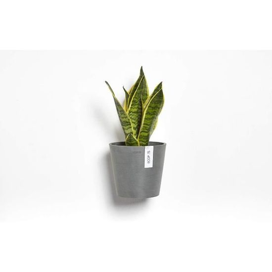 Ashortwalk Amsterdam Pot De Fleurs Mural À Suspendre En Plastique ...