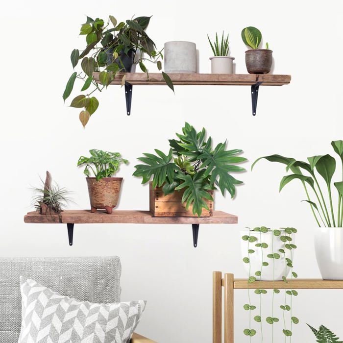 Sticker mural plantes feuilles tropicales sticker mural fleurs arbre ...