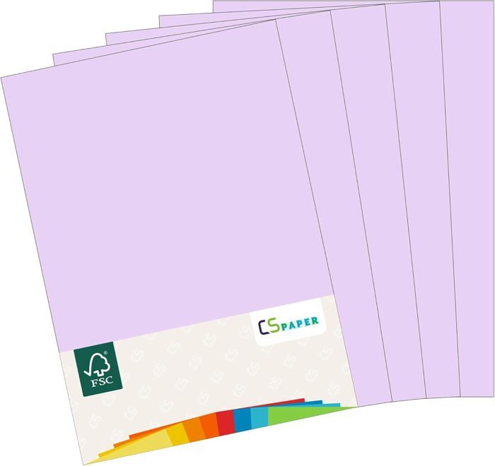 Made In Eu 50 Feuilles De Papier De Couleur Lilas A4 80 G/M² Cs Paper ...