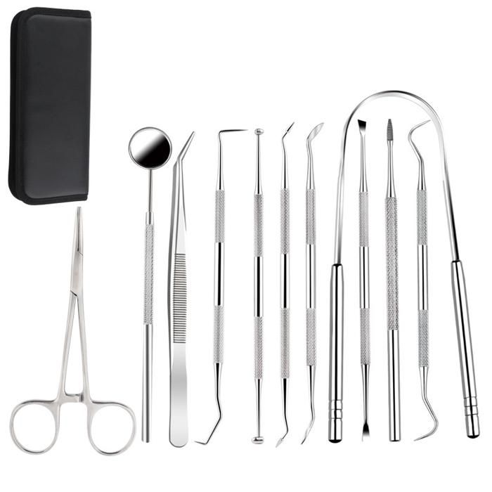 Ensemble d'instruments dentaires en acier inoxydable - INF - 11 pièces ...