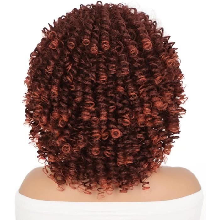 Colorfulpanda Perruque De Cheveux Bouclés Pour Femme,Perruque Afro ...