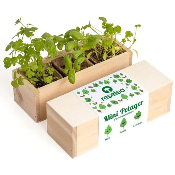| Kit de plantation | Mini Potager | Herbes aromatiques | Persil ...