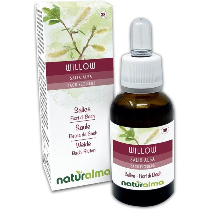 Essences De Fleurs - Willow Ou Saule (salix Var. Vitellina) Naturalma ...
