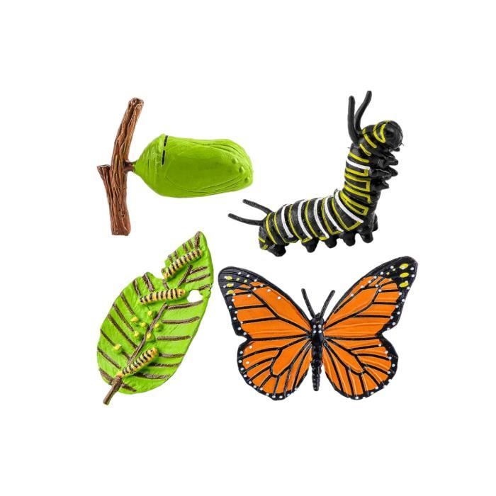4 Figurines d'insectes pour Cycle de Vie des Papillons, Apprentissage ...