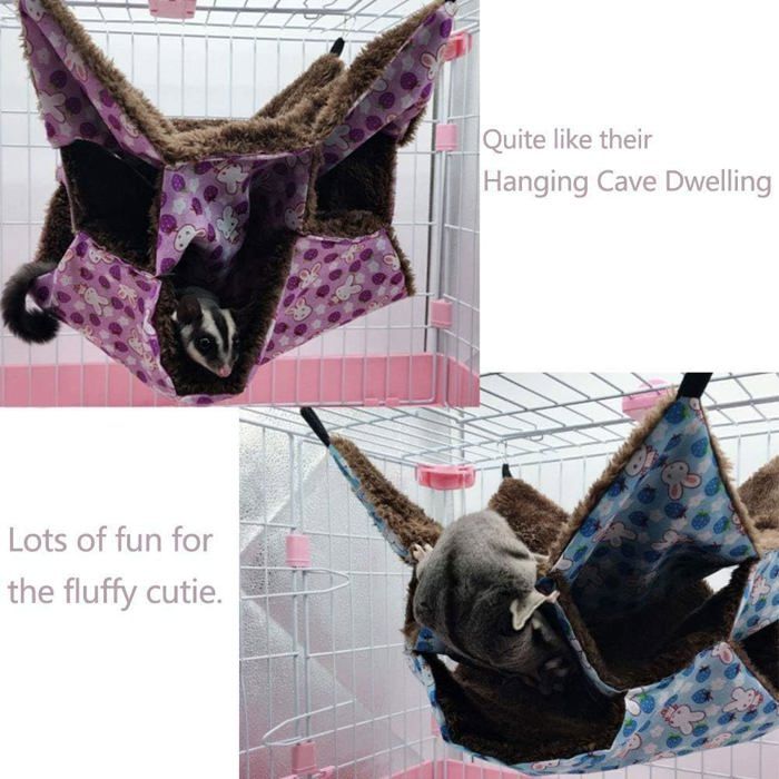Hamac pour petit animal domestique - Hamac pour rat, cochon d'Inde ...
