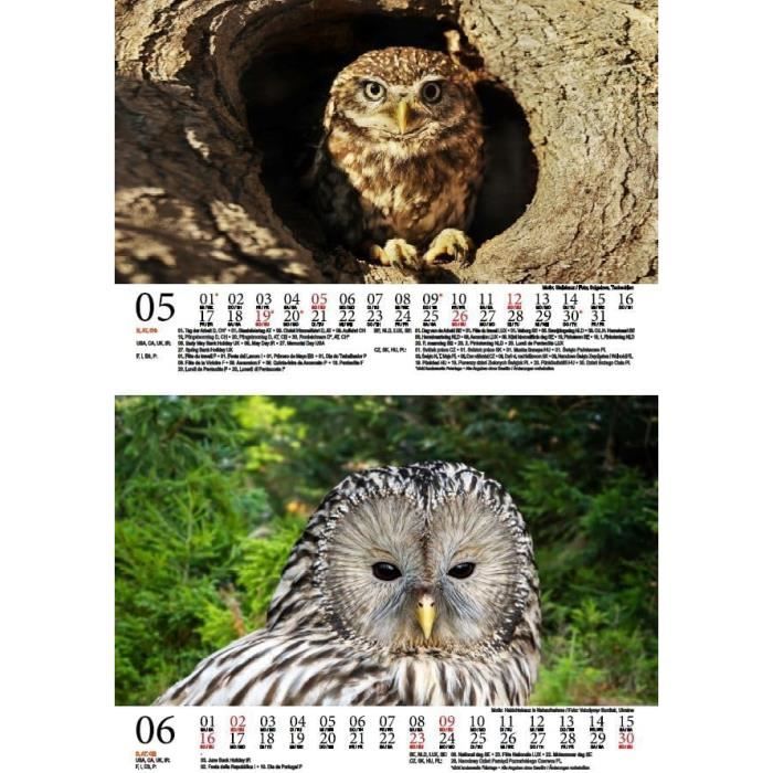 Calendrier mural au format A5 pour 2024 - Motif hiboux et hiboux A981 ...