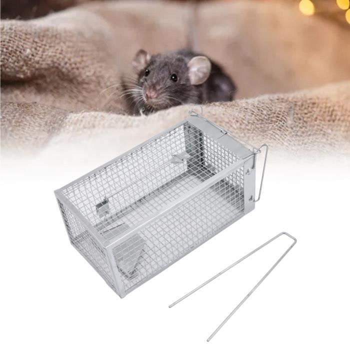 PAR- Piège à rats Fer Rat Piège à Souris Cage Simple Porte Animal ...
