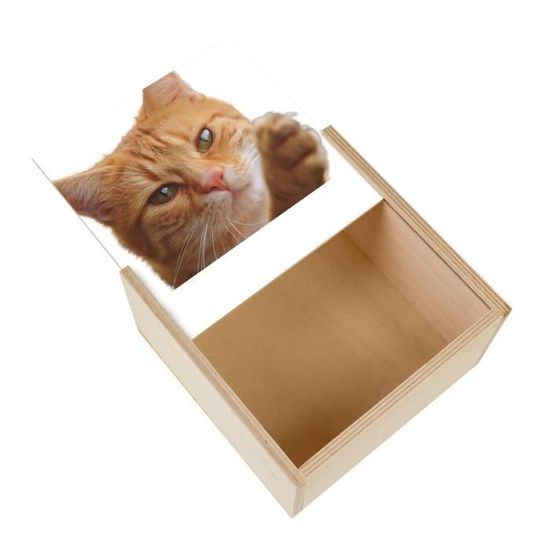 Boite Coffret en Bois - Chat Roux Poil Long Mignon Animale de Compagnie ...